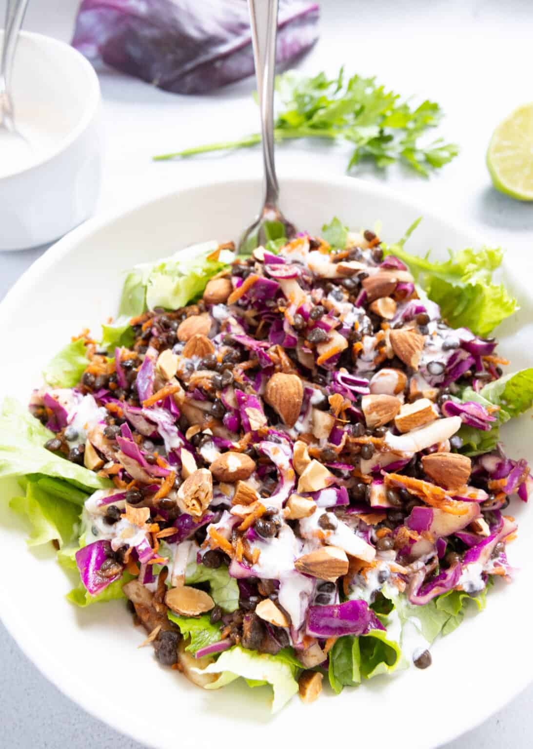 Crunchy Red Cabbage & Lentil Salad – Vegetarian Recipes for Mindful Cooking