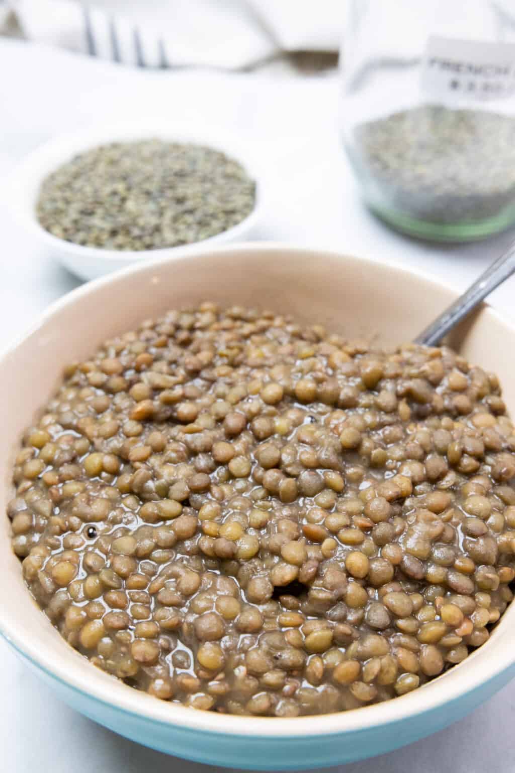Simple French Lentils (Instant Pot) – Vegetarian Recipes for Mindful Cooking