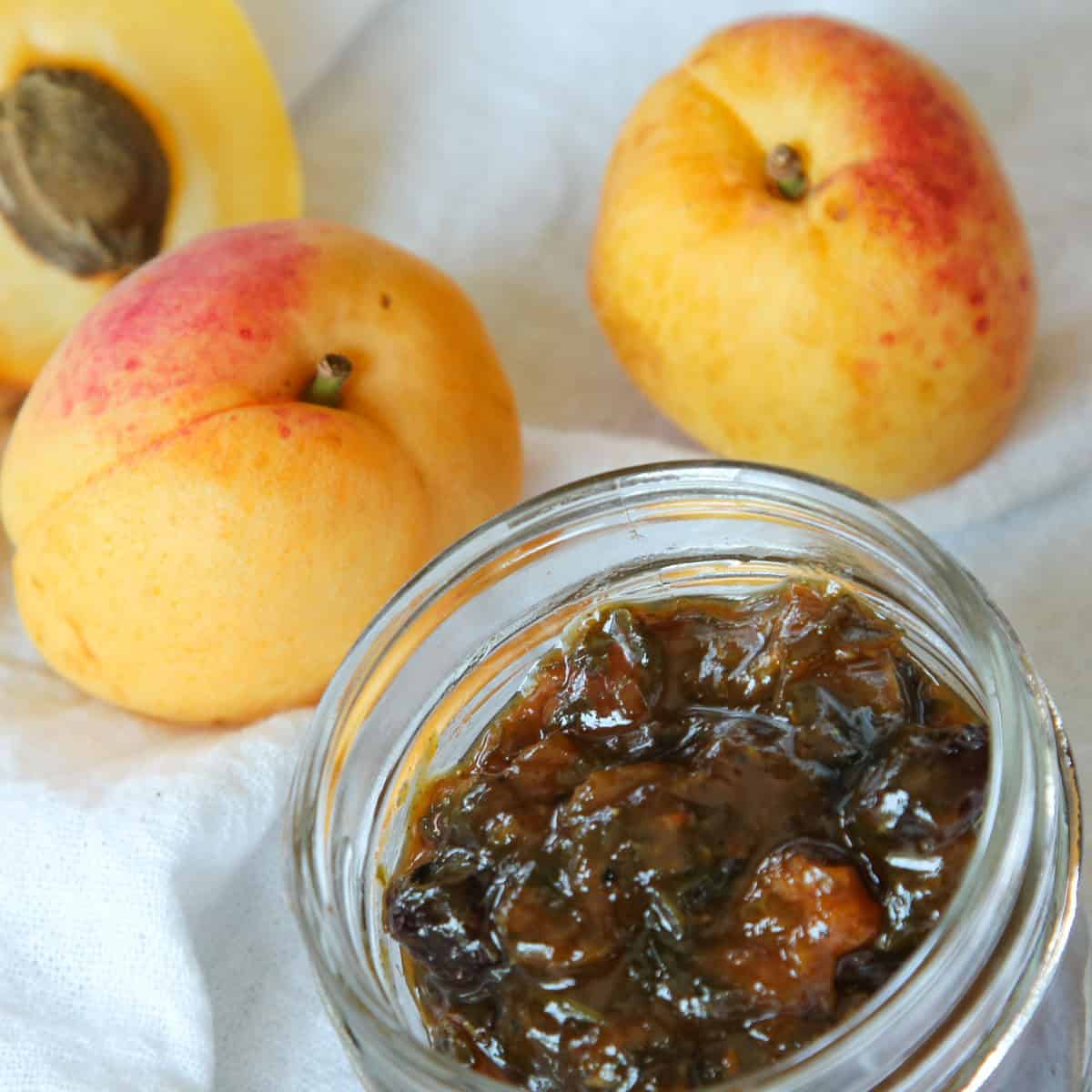 Spiced Apricot Chutney with Mint – Vegetarian Recipes for Mindful Cooking